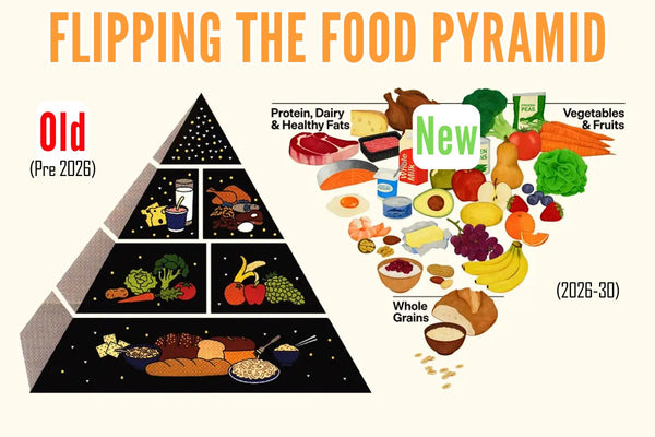 Flipping The Food Pyramid - Major Update to Nutrition Guidelines ...